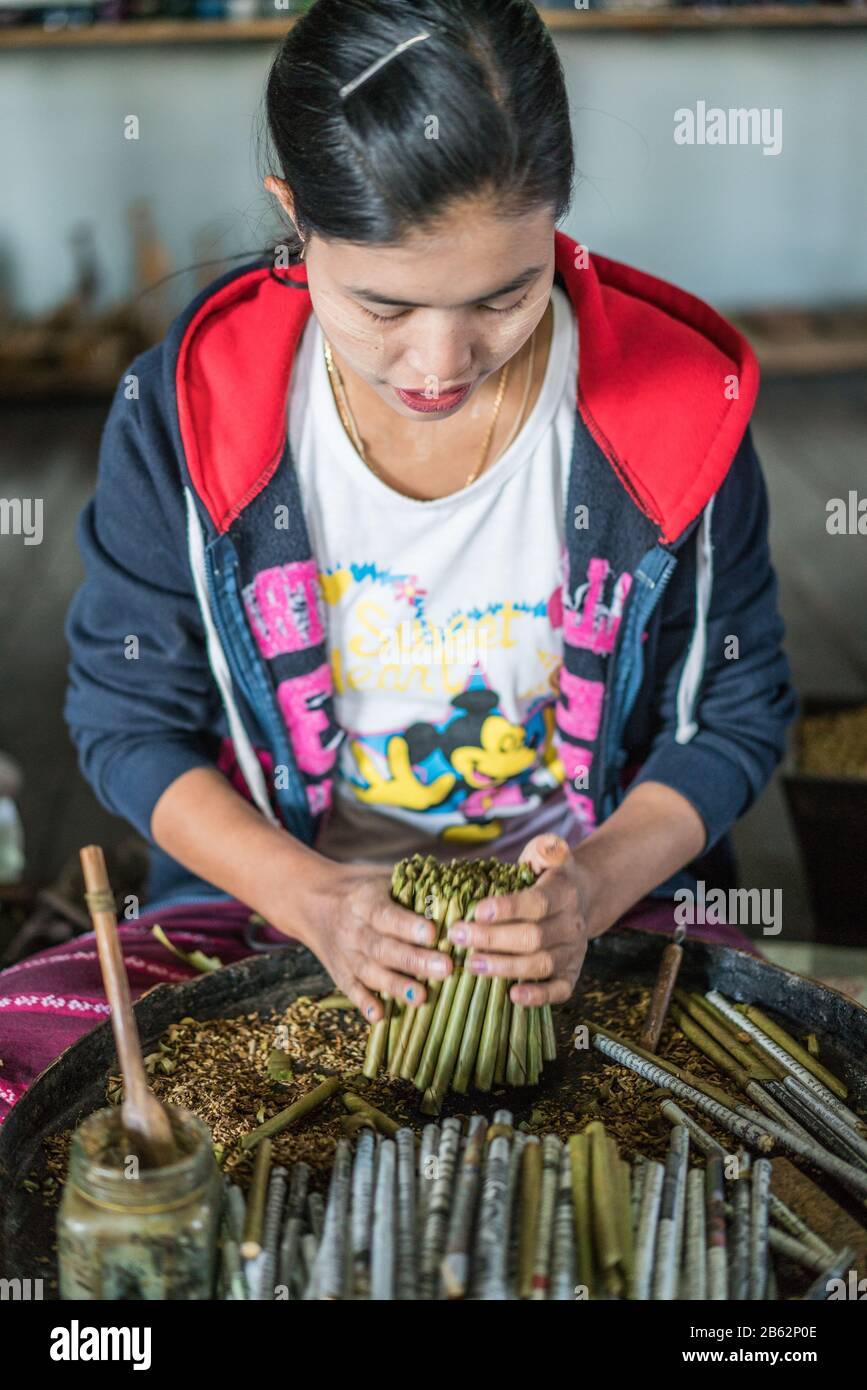 Handmade cigars, Inle lake, Myanmar, Asia Stock Photo - Alamy