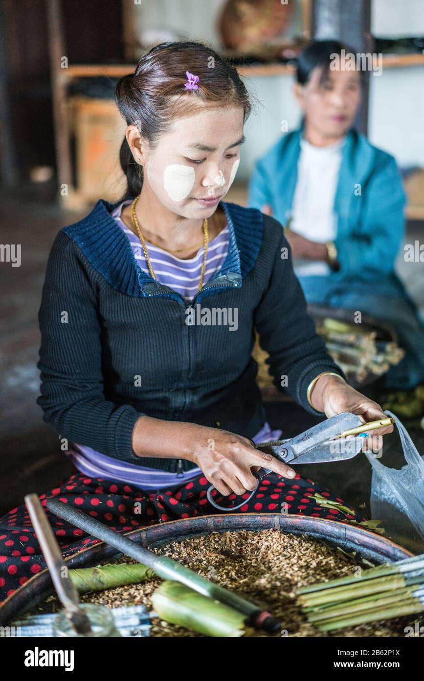 Handmade cigars, Inle lake, Myanmar, Asia Stock Photo - Alamy