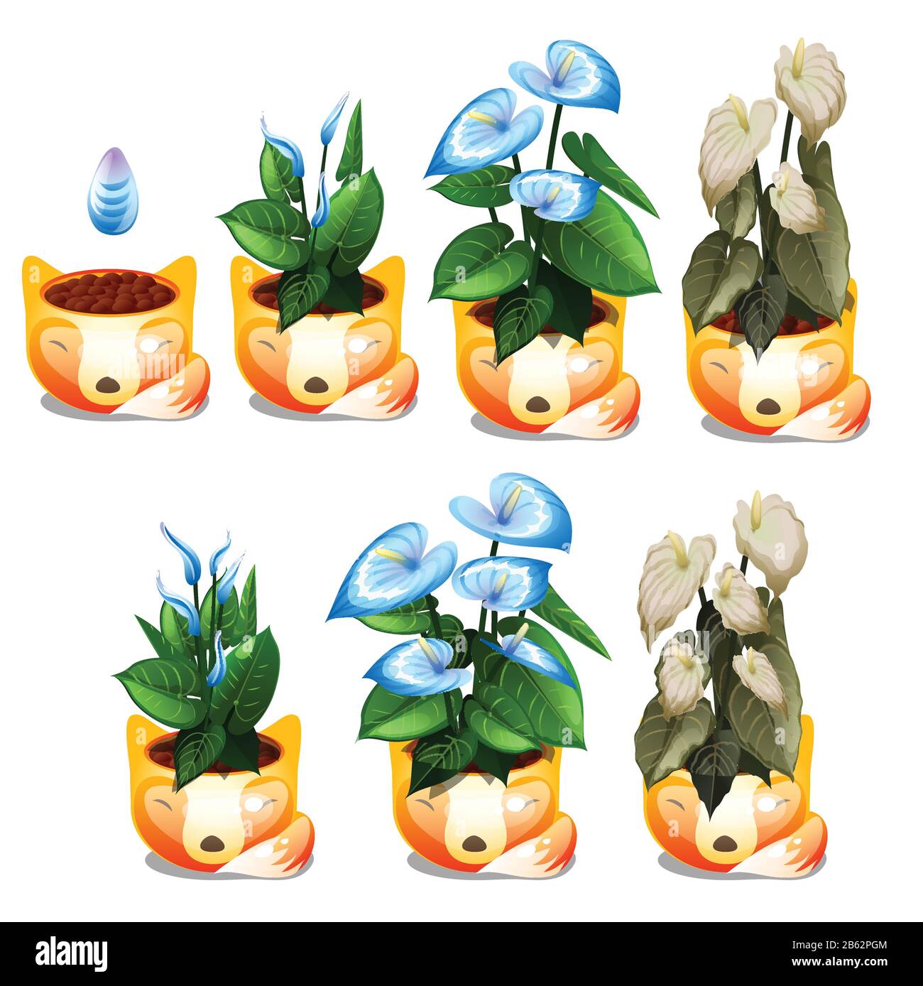 Set of stages of life of a flowering plant isolated on white background ...