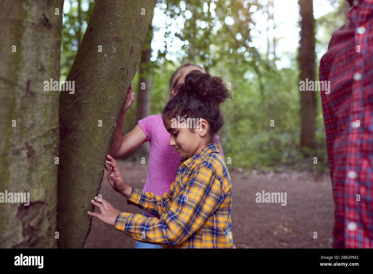 Girls With Male Team Leader At Outdoor Activity Camp Studying Tree Bark ...