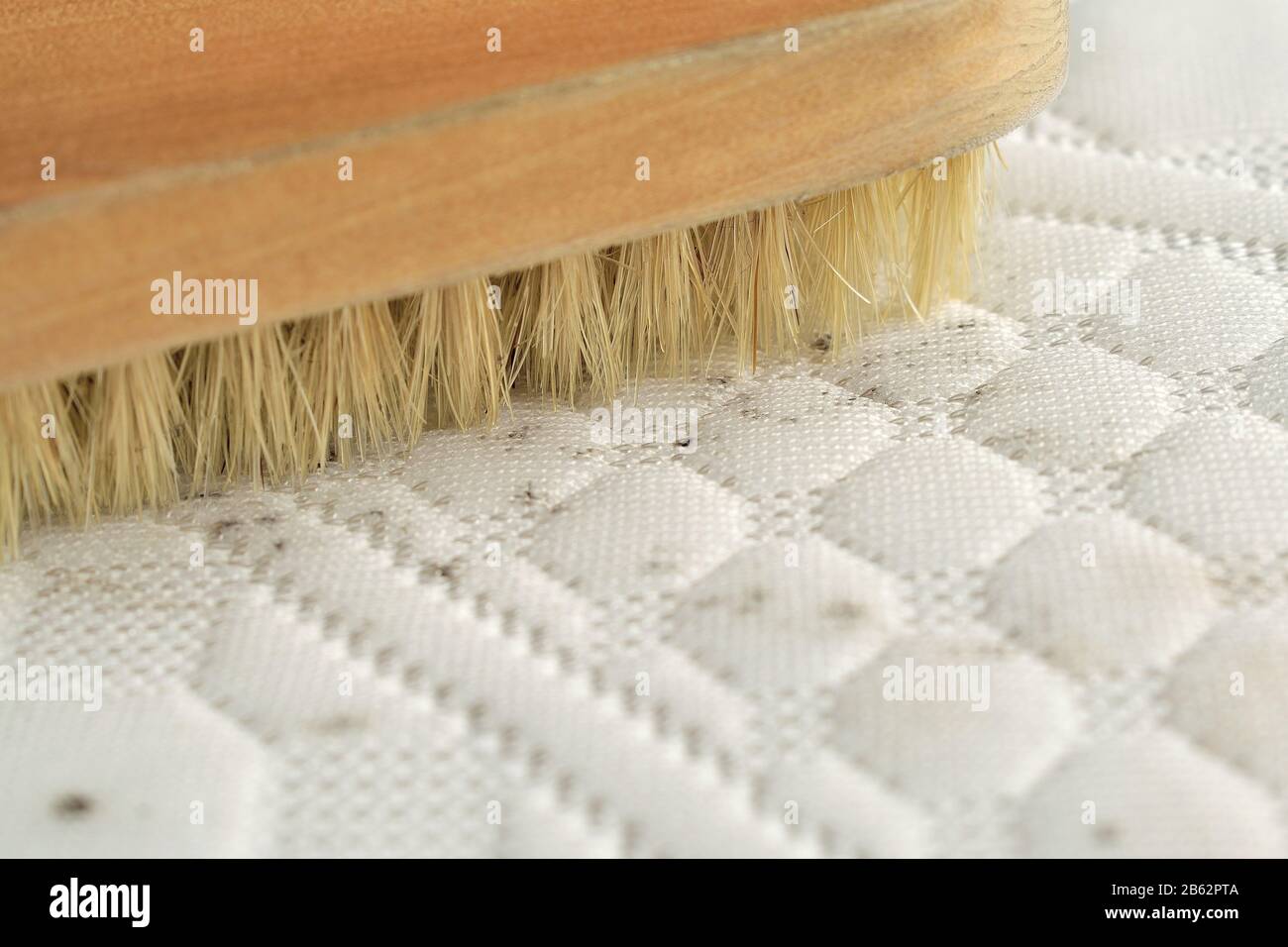 Removing fungus stains from the mattress`s surface with a brush Stock ...