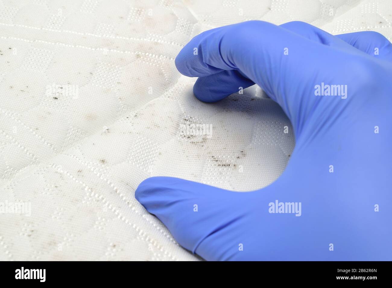 Hand showing mould and dirt spots on the mattress. Fungus on a white ...