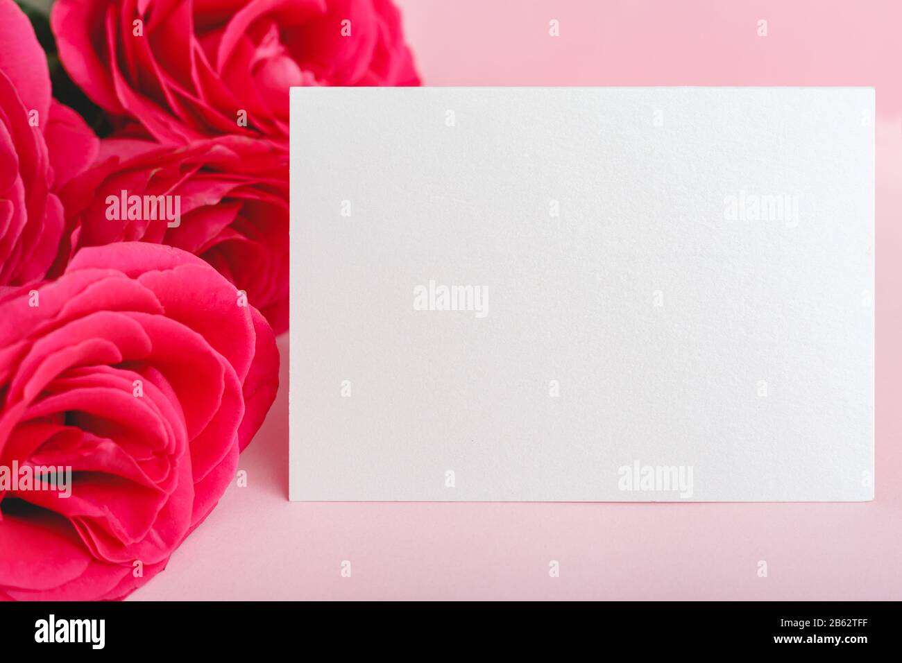 Flowers mock up congratulation. Congratulations card in bouquet of pink ...