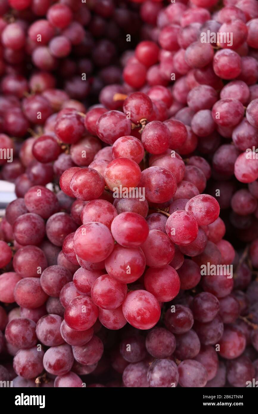 Festival of grape harvest hi-res stock photography and images - Alamy