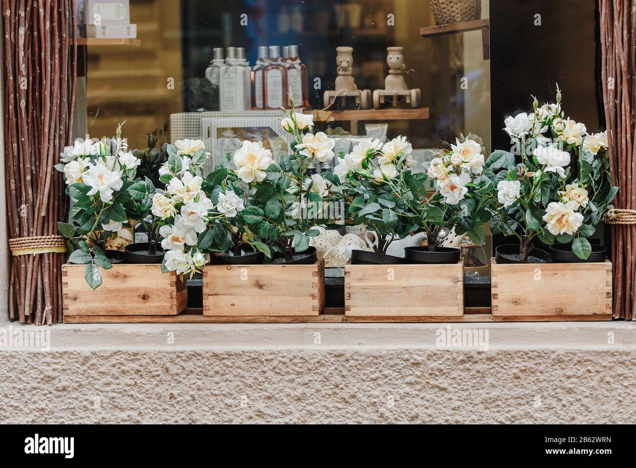 Flower pot on a window in European city Stock Photo - Alamy