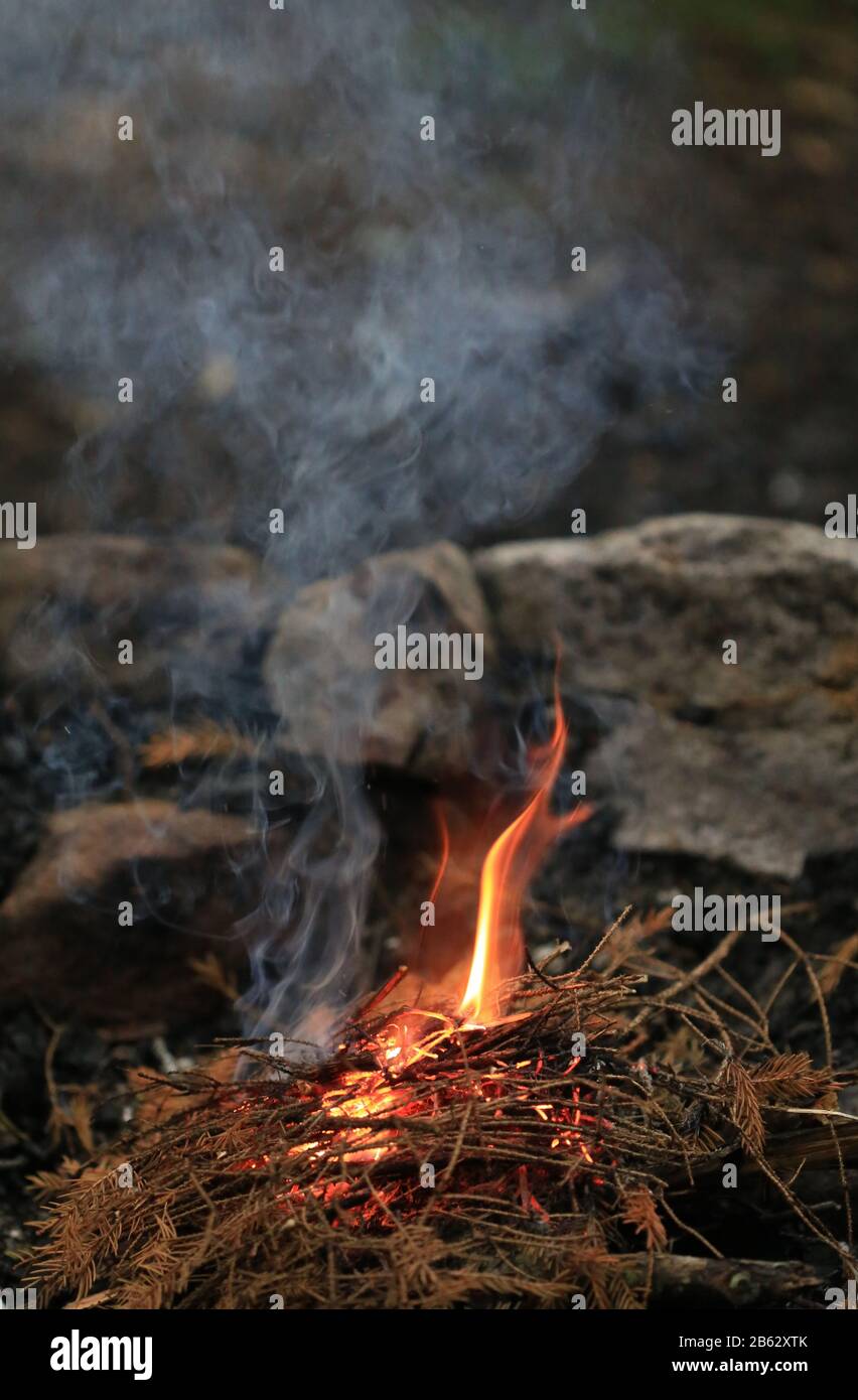 Campfire in the wilderness Stock Photo - Alamy