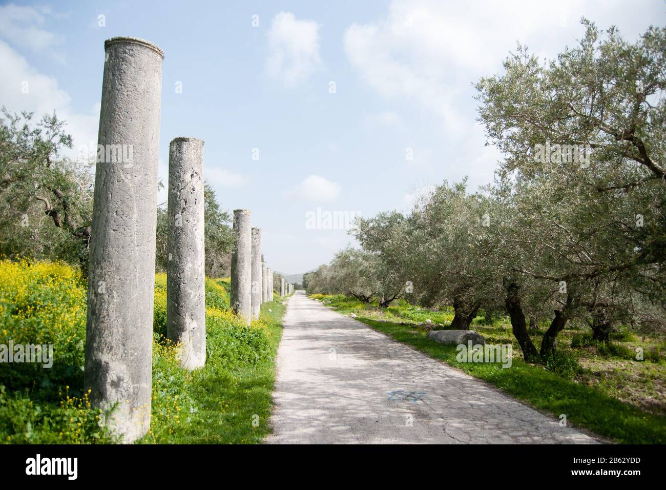 Sebastia ancient israel excavation on palestinian territory Stock Photo ...