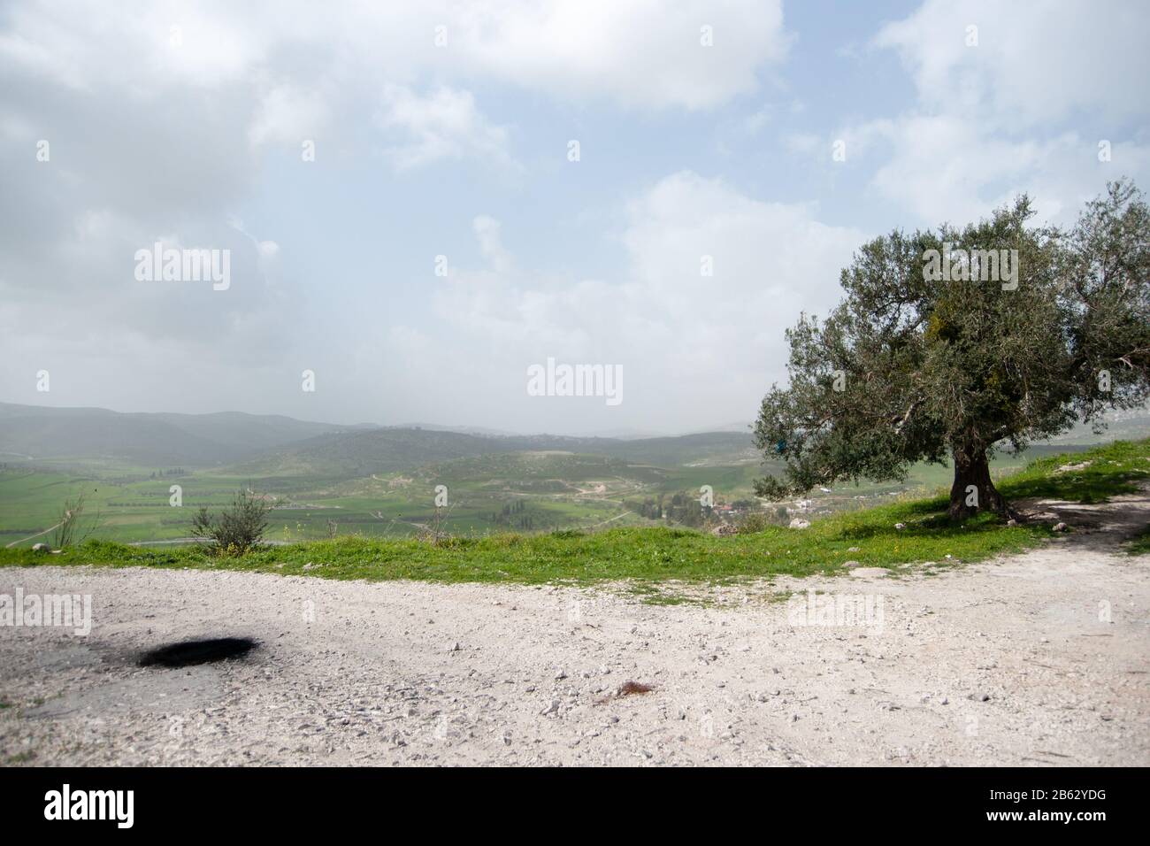 Sebastia ancient israel excavation on palestinian territory Stock Photo ...