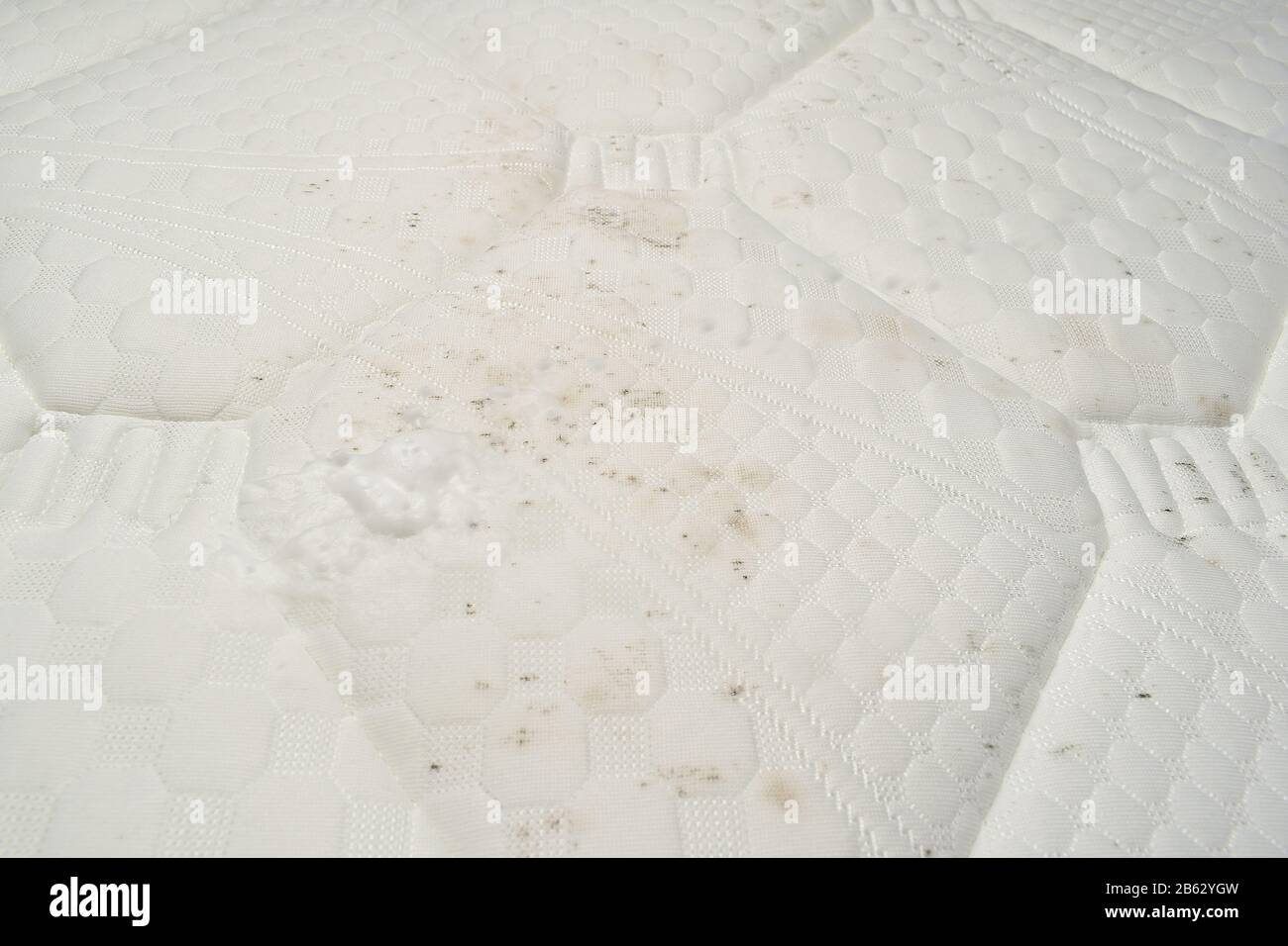 Foam cleaner on the mattress with a mildew stains Stock Photo - Alamy