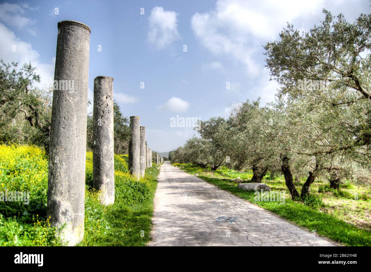Sebastia ancient israel excavation on palestinian territory Stock Photo ...