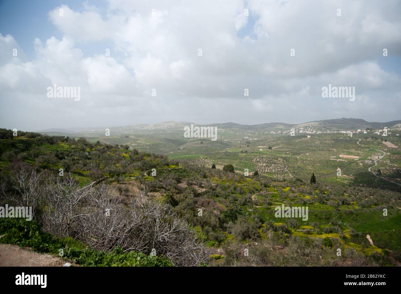 Sebastia ancient israel excavation on palestinian territory Stock Photo ...