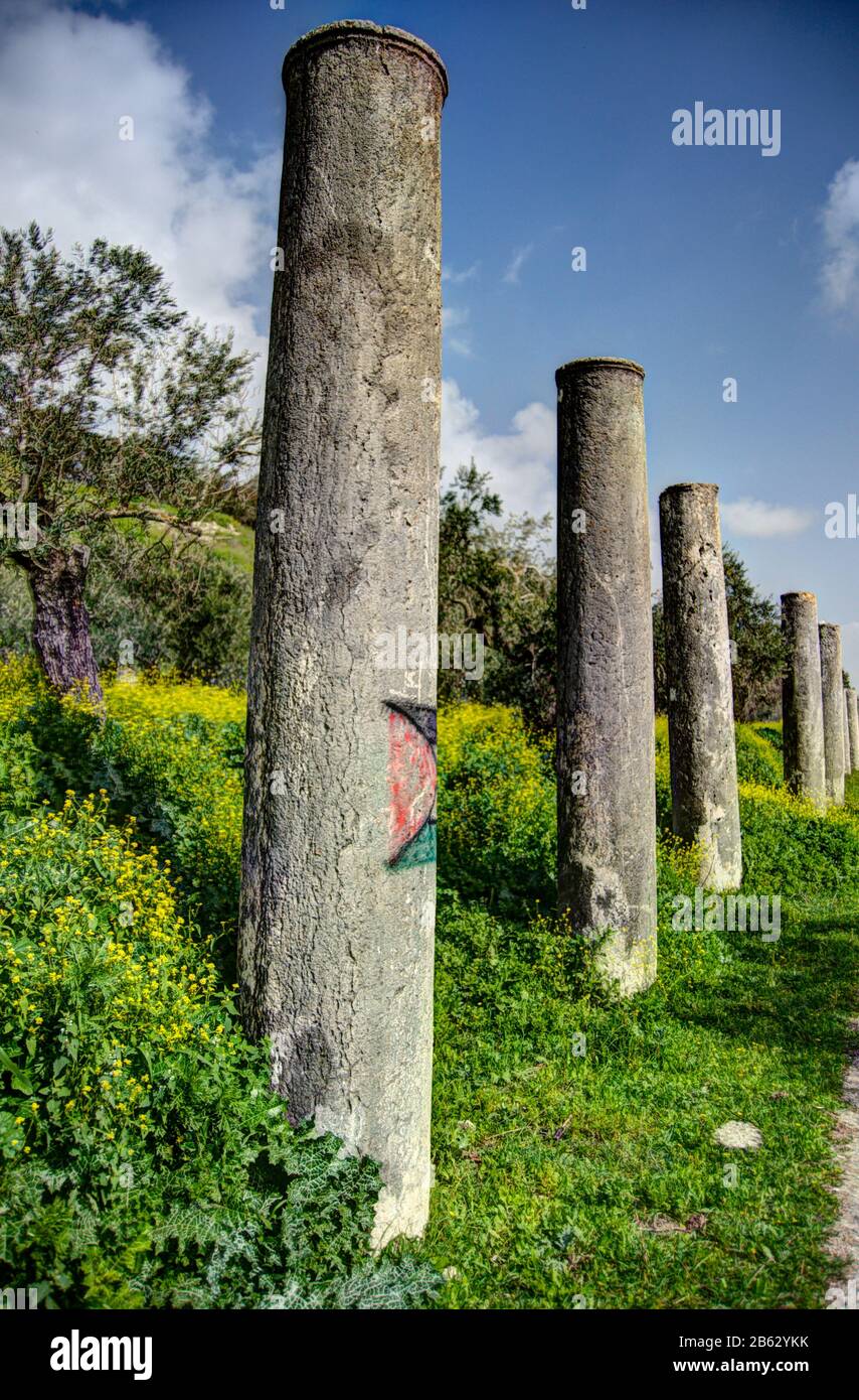 Sebastia ancient israel excavation on palestinian territory Stock Photo ...
