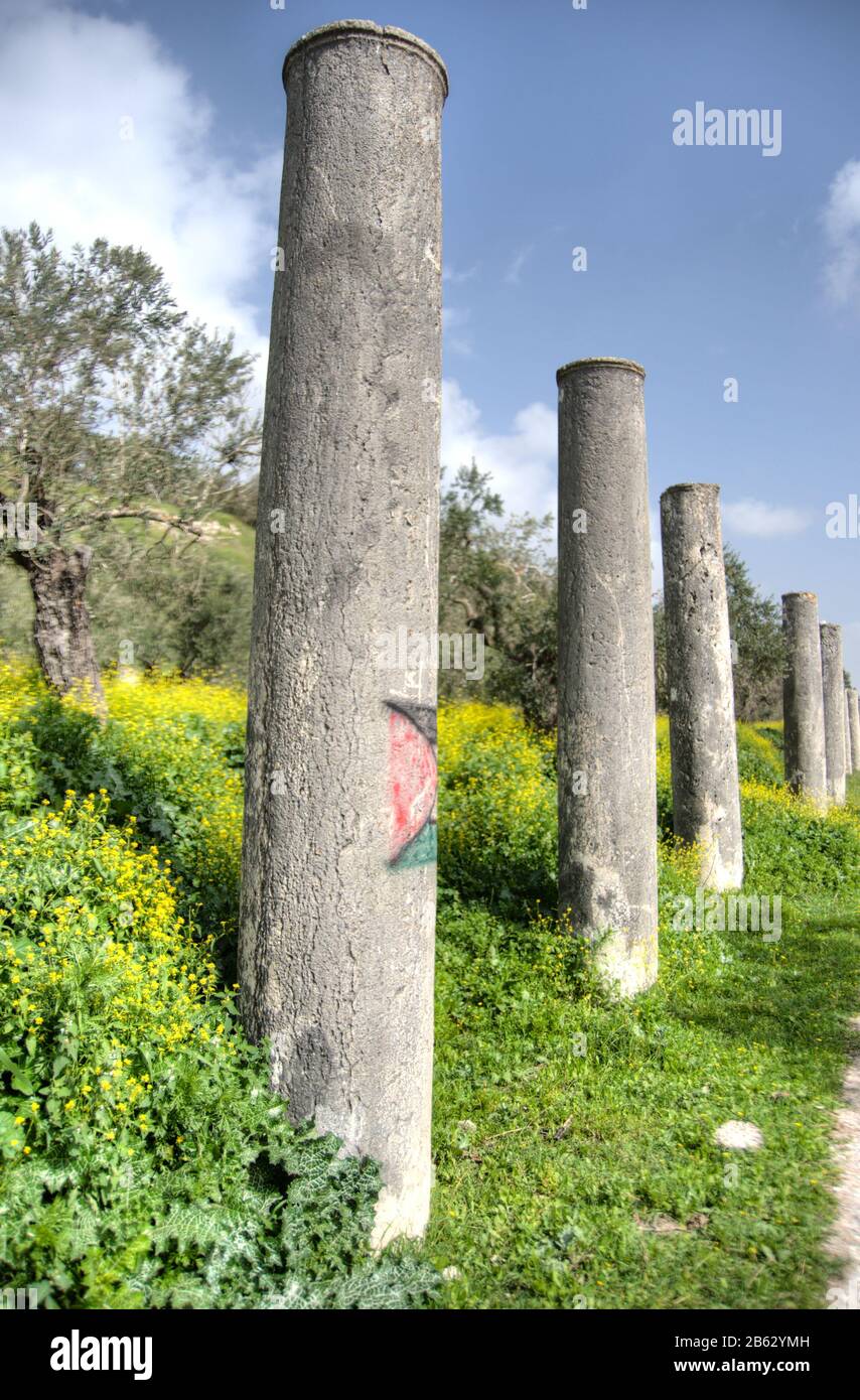 Sebastia ancient israel excavation on palestinian territory Stock Photo ...