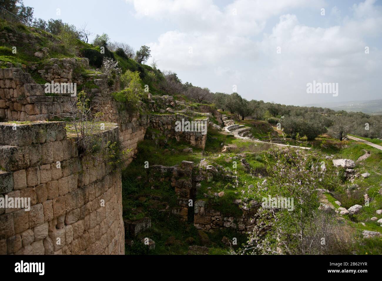 Sebastia ancient israel excavation on palestinian territory Stock Photo ...