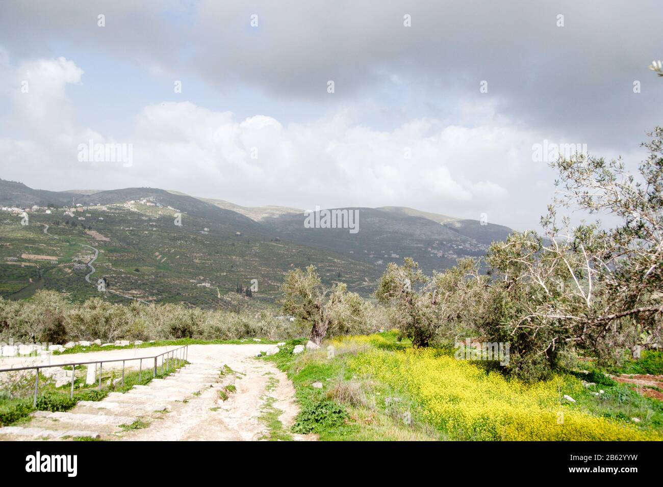 Sebastia ancient israel excavation on palestinian territory Stock Photo ...
