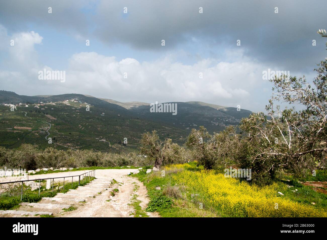 Sebastia ancient israel excavation on palestinian territory Stock Photo ...