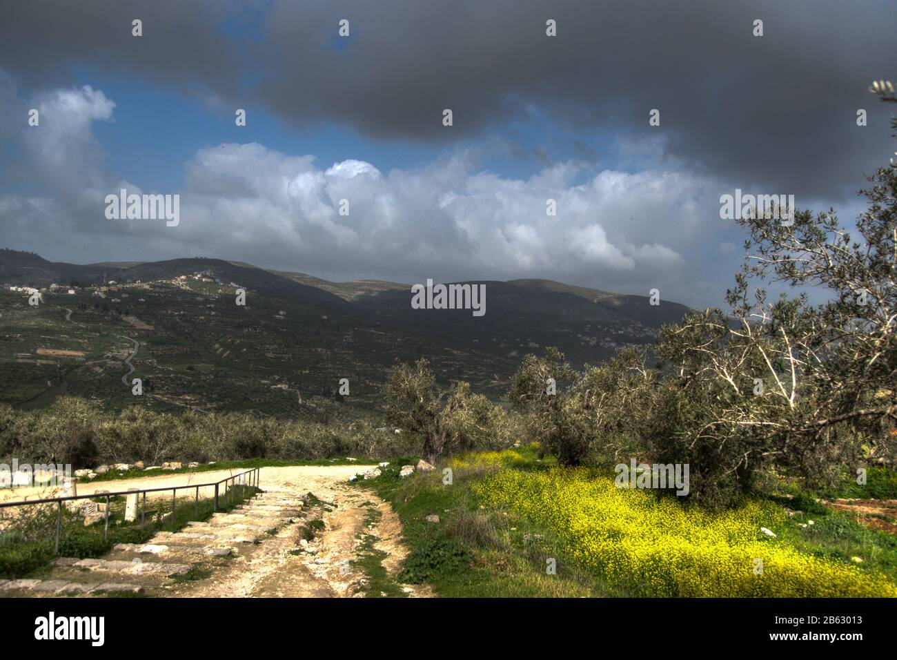 Sebastia ancient israel excavation on palestinian territory Stock Photo ...
