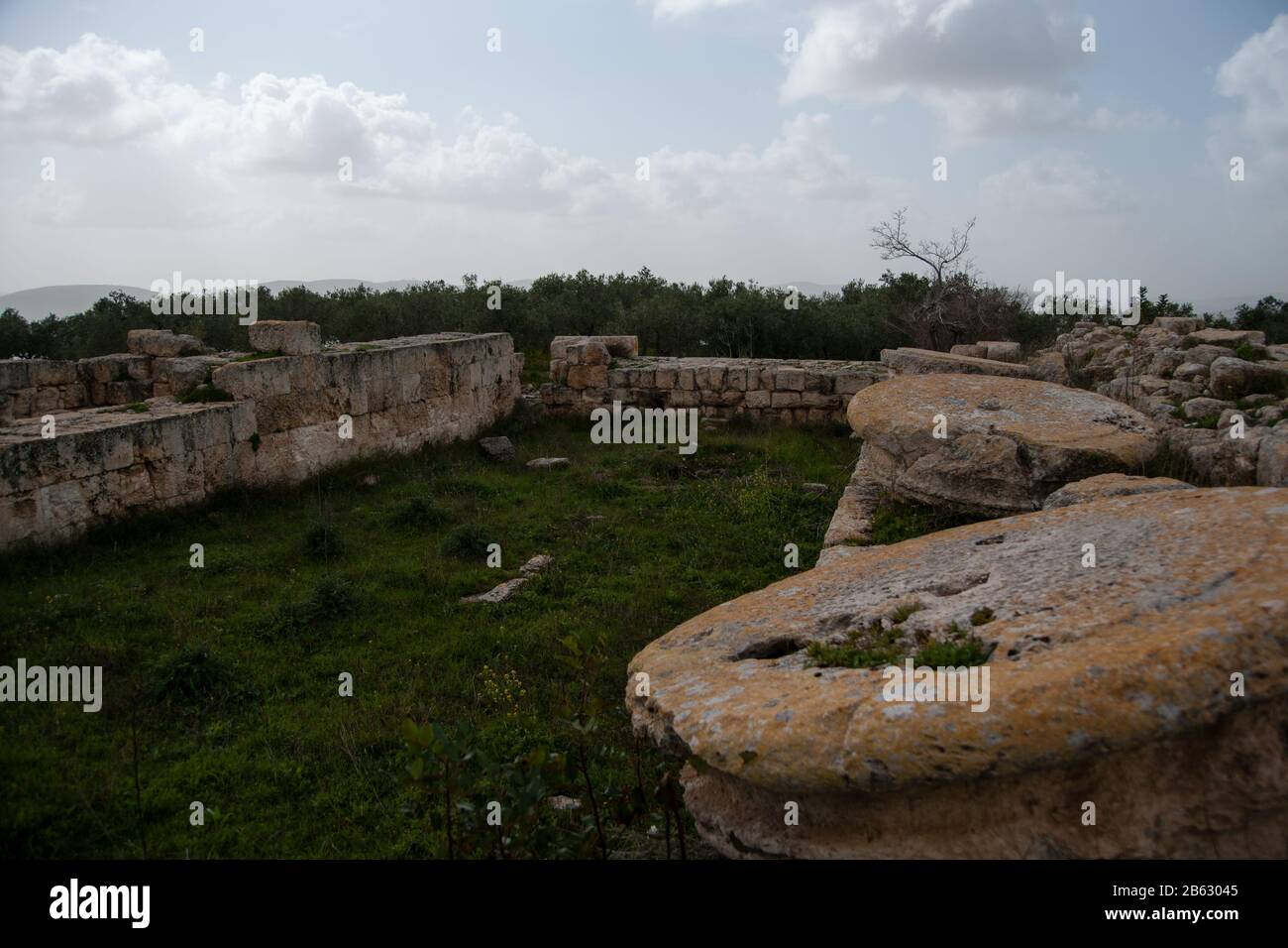 Sebastia ancient israel excavation on palestinian territory Stock Photo ...