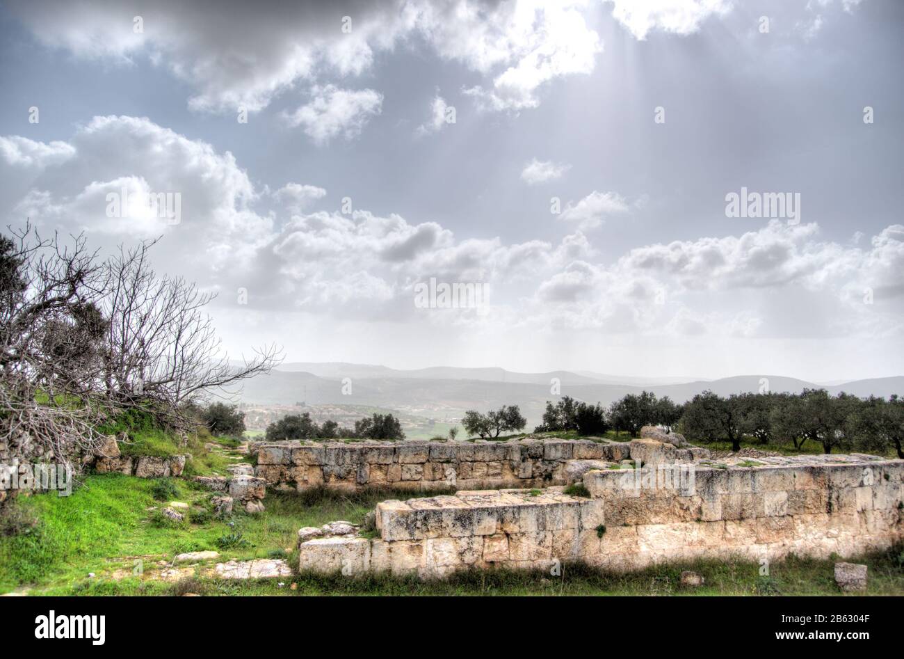 Sebastia ancient israel excavation on palestinian territory Stock Photo ...