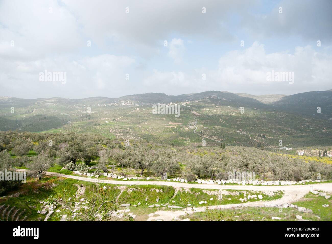 Sebastia ancient israel excavation on palestinian territory Stock Photo ...