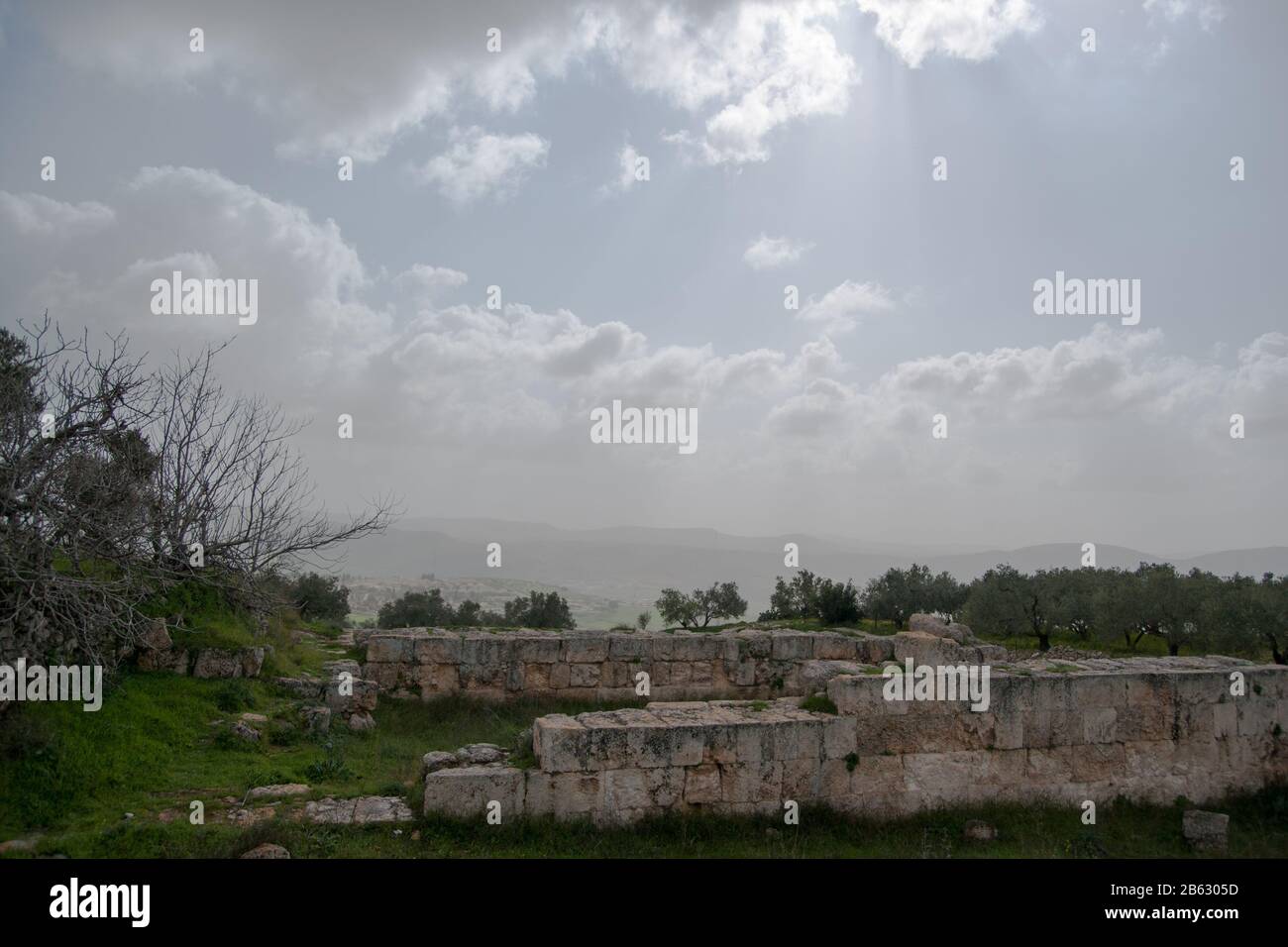 Sebastia ancient israel excavation on palestinian territory Stock Photo ...