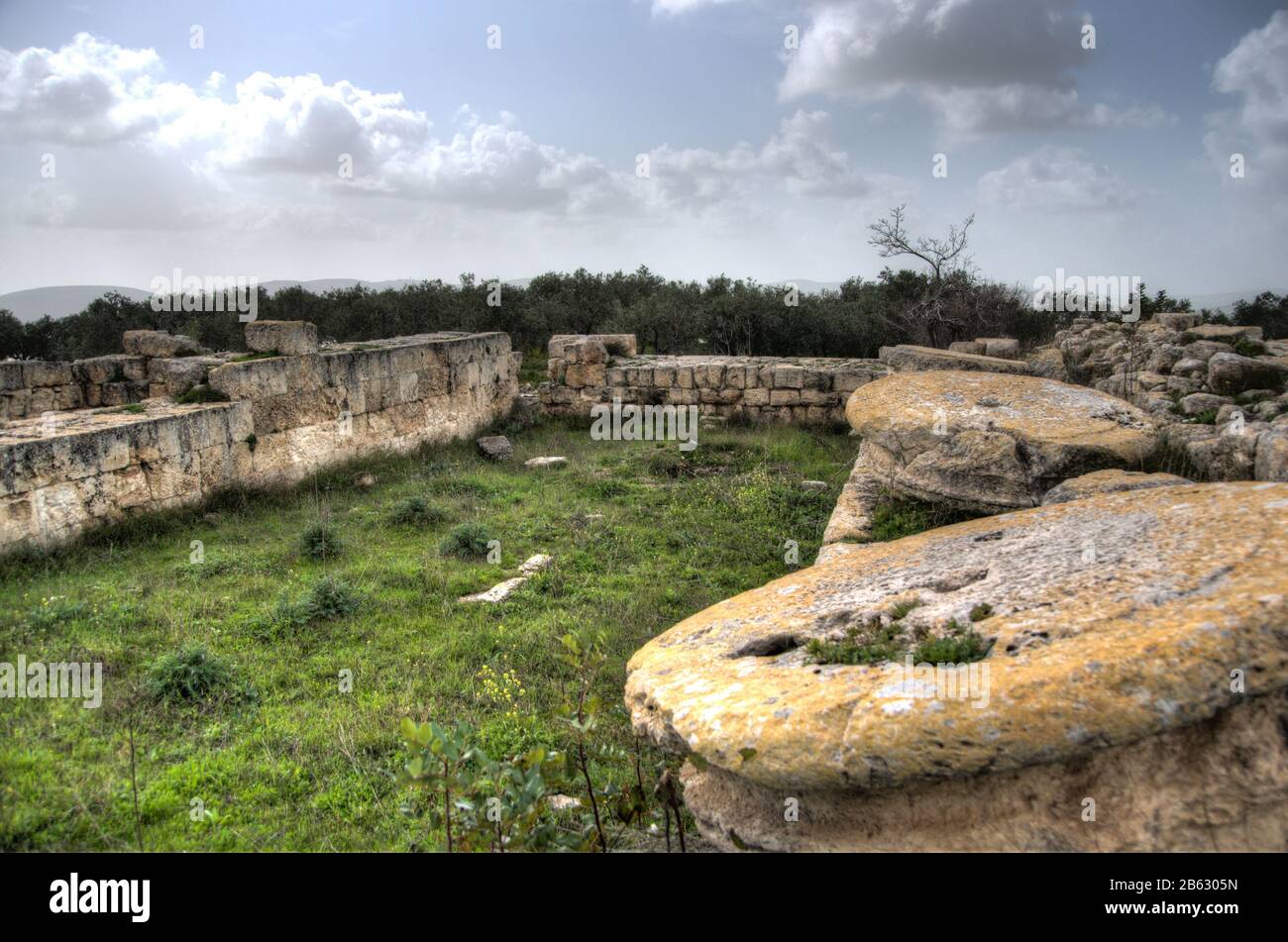 Sebastia ancient israel excavation on palestinian territory Stock Photo ...