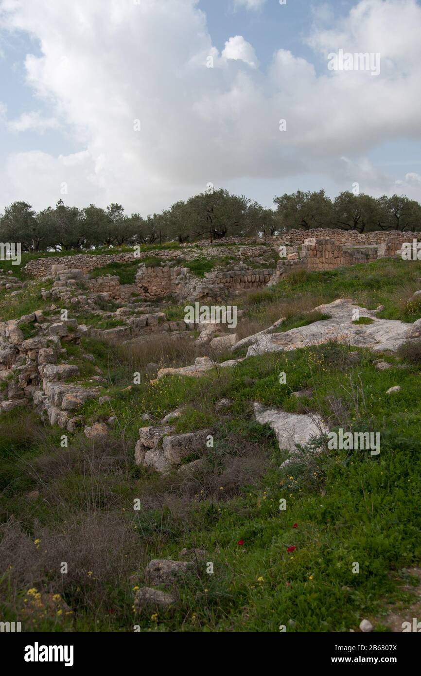 Sebastia ancient israel excavation on palestinian territory Stock Photo ...