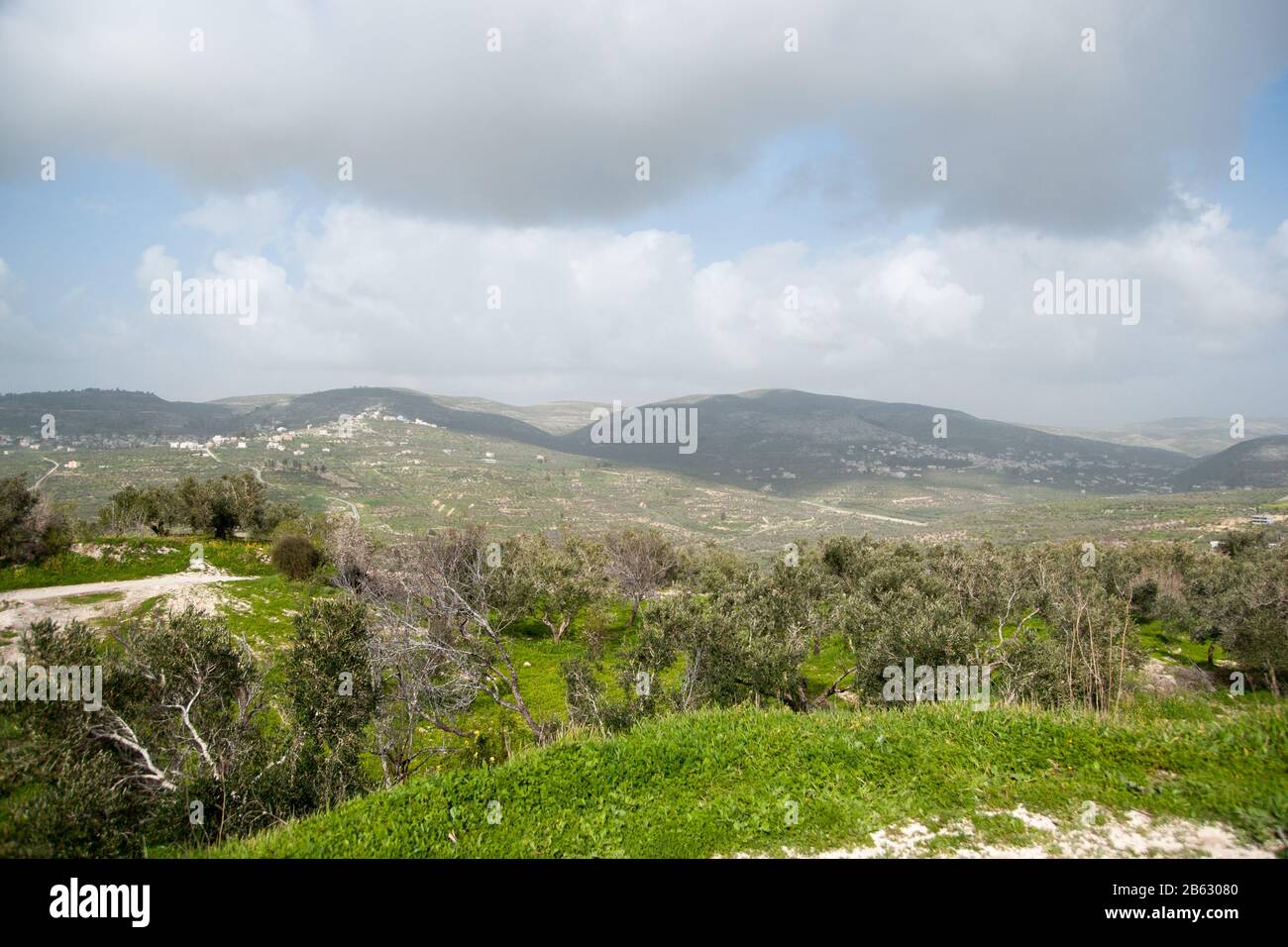 Sebastia ancient israel excavation on palestinian territory Stock Photo ...