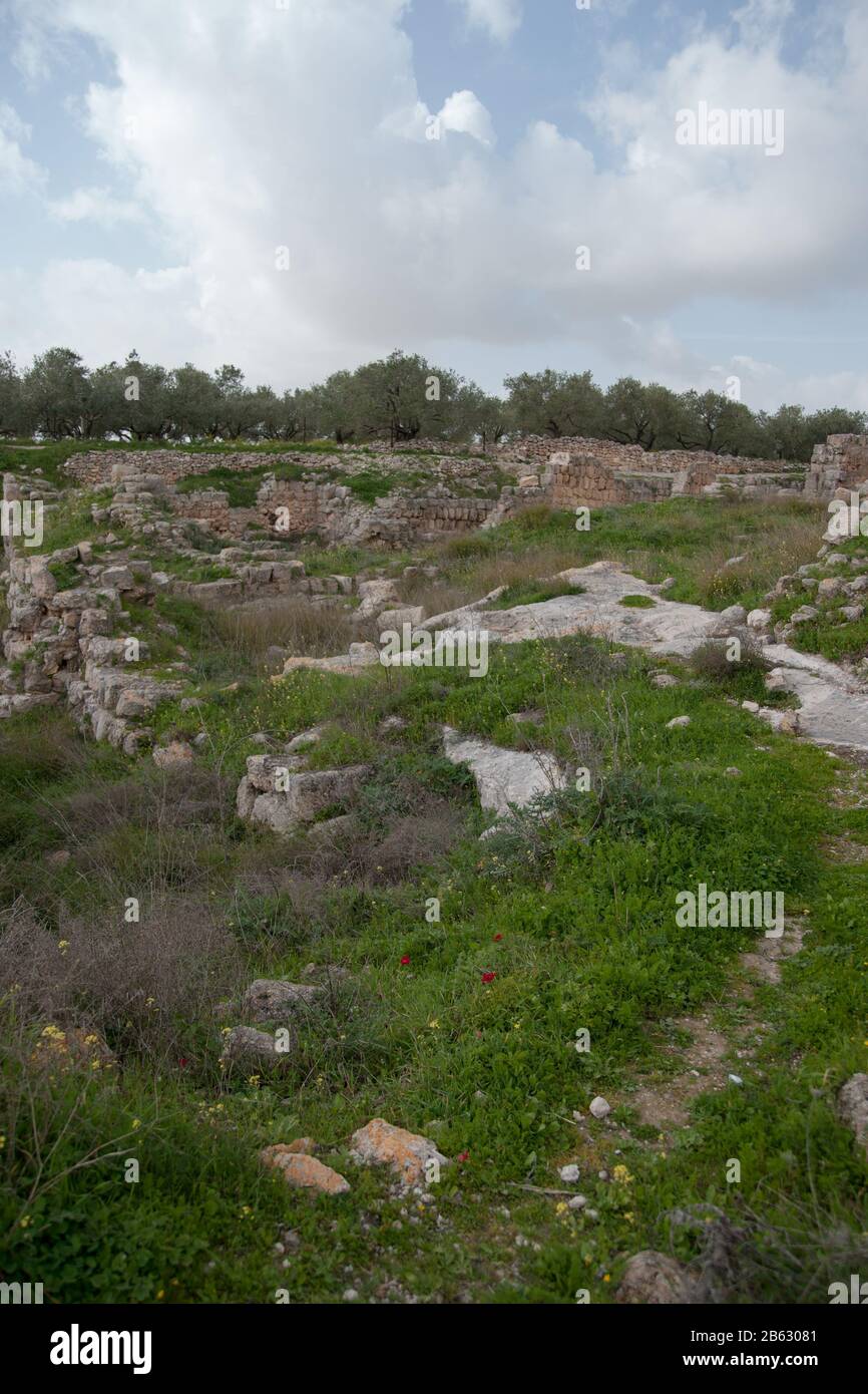 Sebastia ancient israel excavation on palestinian territory Stock Photo ...