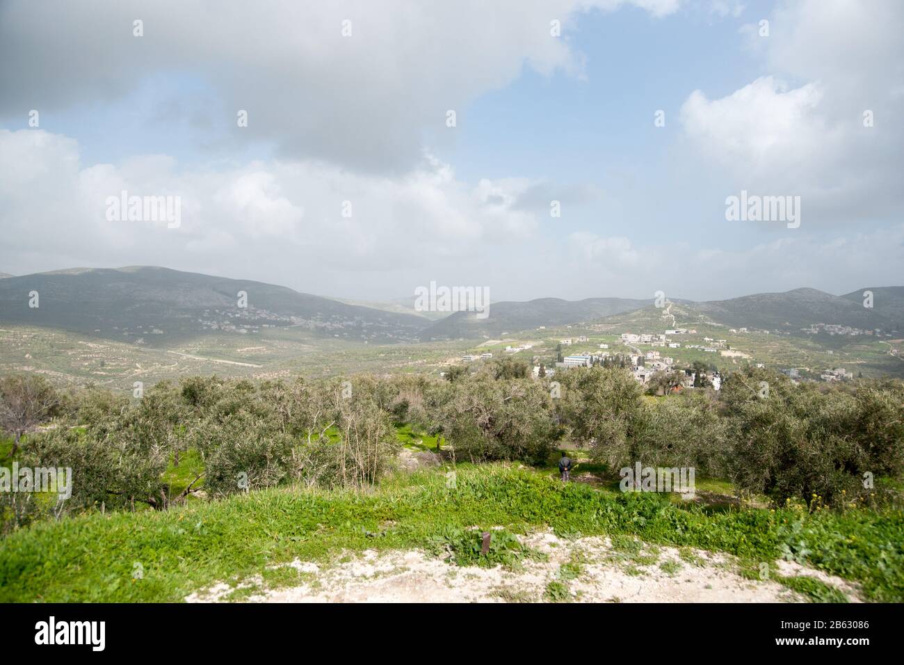 Sebastia ancient israel excavation on palestinian territory Stock Photo ...