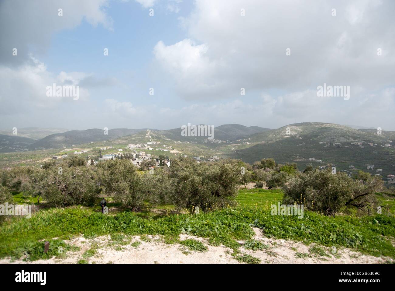 Sebastia ancient israel excavation on palestinian territory Stock Photo ...