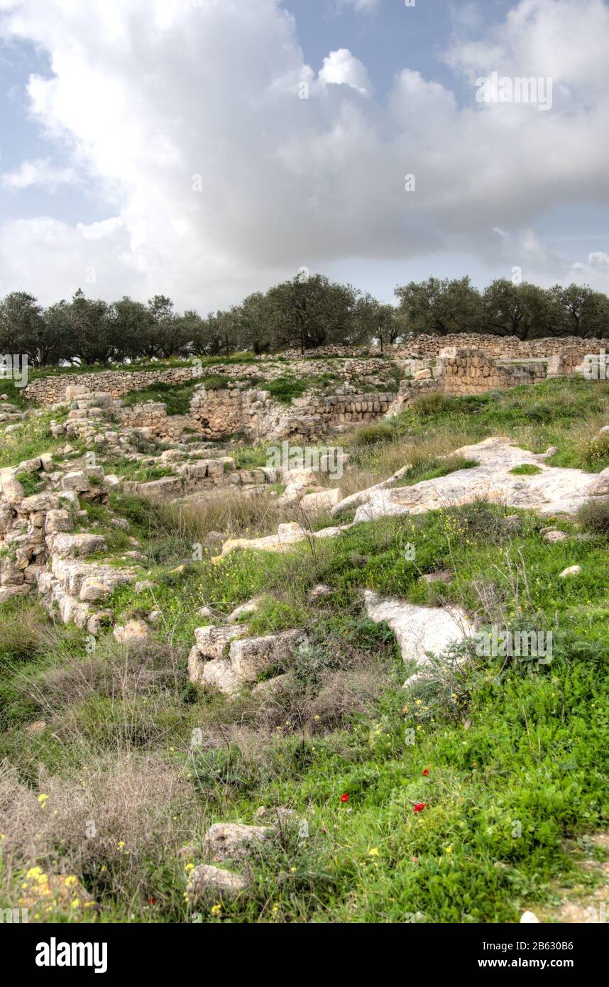 Sebastia ancient israel excavation on palestinian territory Stock Photo ...