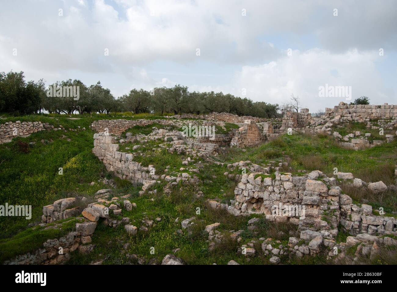 Sebastia ancient israel excavation on palestinian territory Stock Photo ...