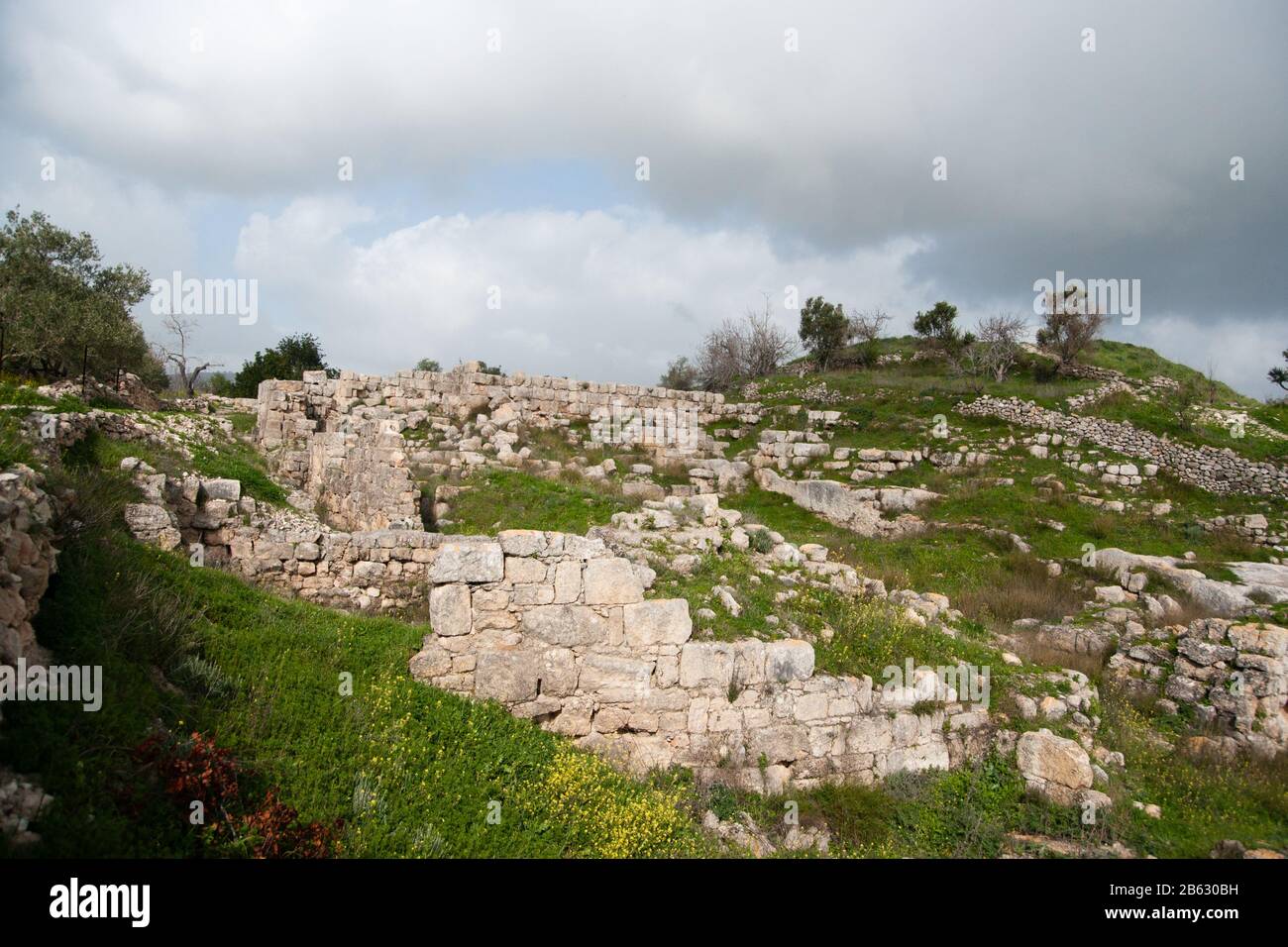 Sebastia ancient israel excavation on palestinian territory Stock Photo ...