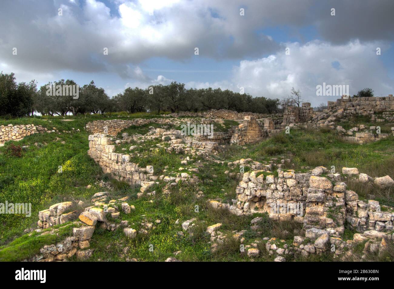 Sebastia ancient israel excavation on palestinian territory Stock Photo ...
