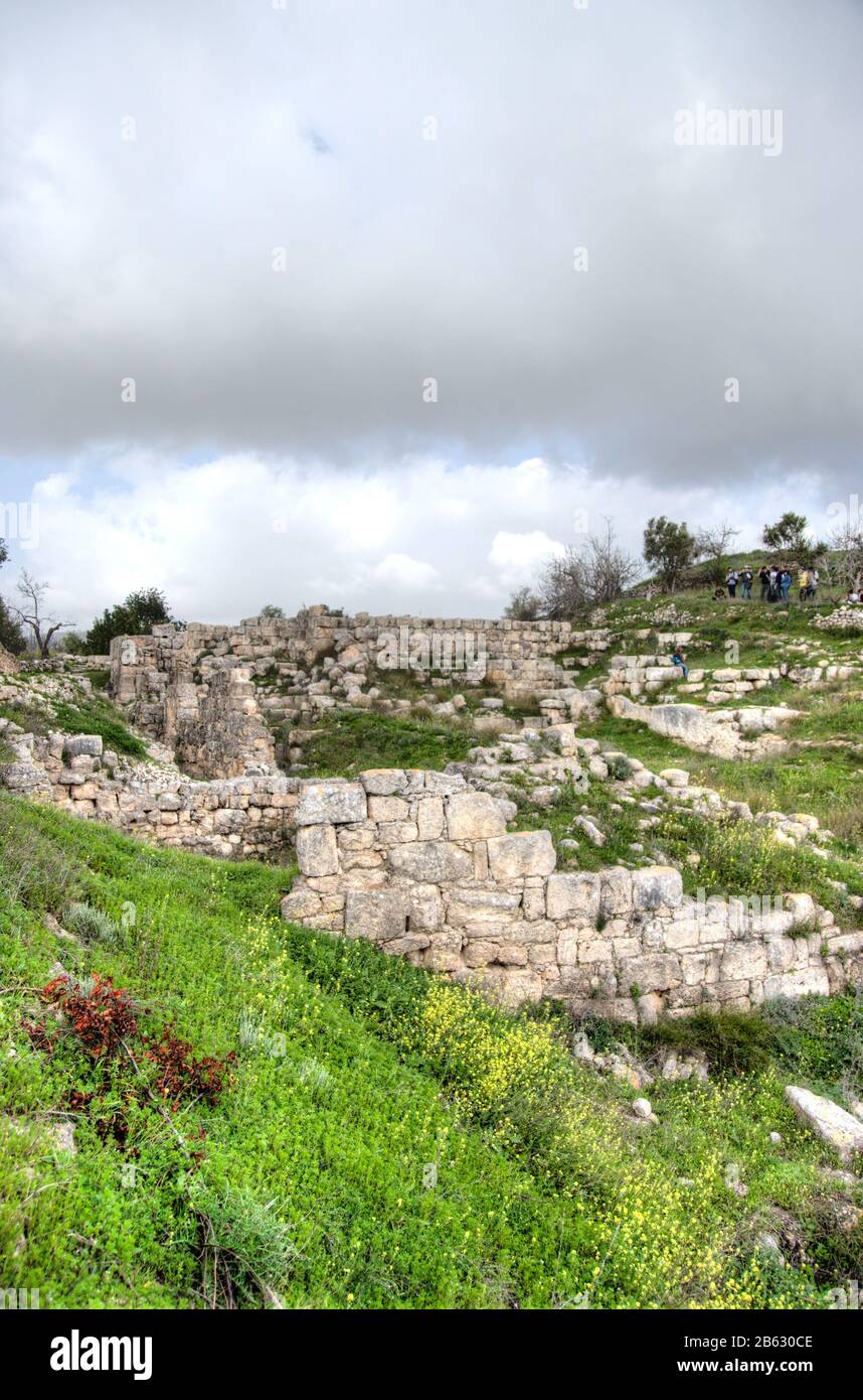 Sebastia ancient israel excavation on palestinian territory Stock Photo ...