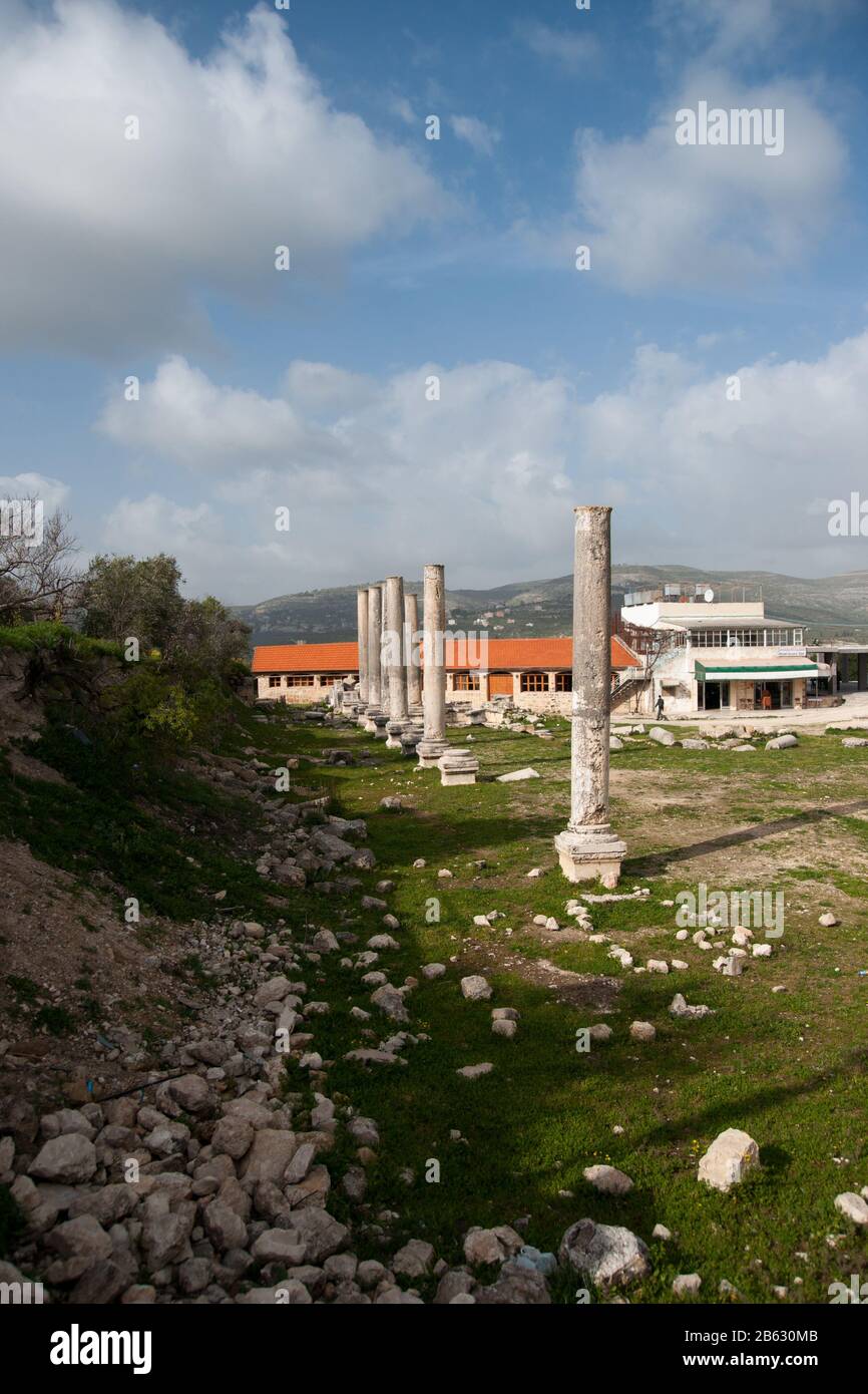 Sebastia ancient israel excavation on palestinian territory Stock Photo ...