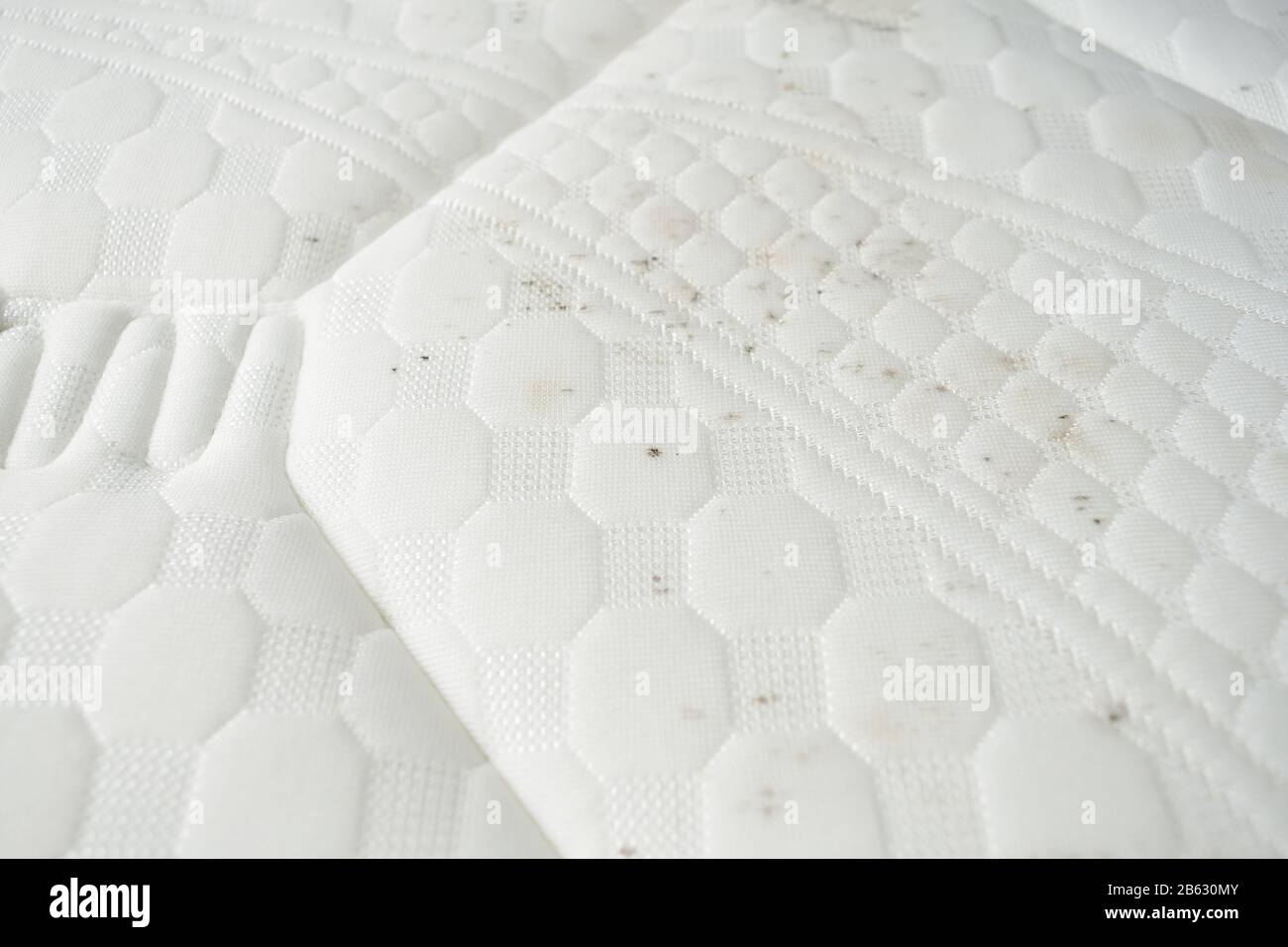 Mildew on a mattress. Black stains on a white fabric Stock Photo - Alamy