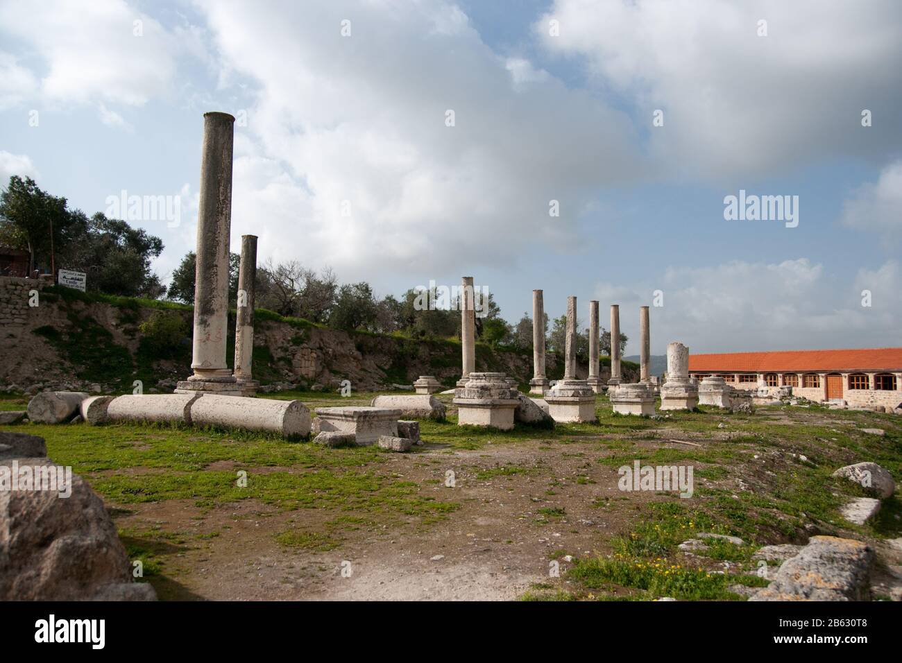 Sebastia ancient israel excavation on palestinian territory Stock Photo ...