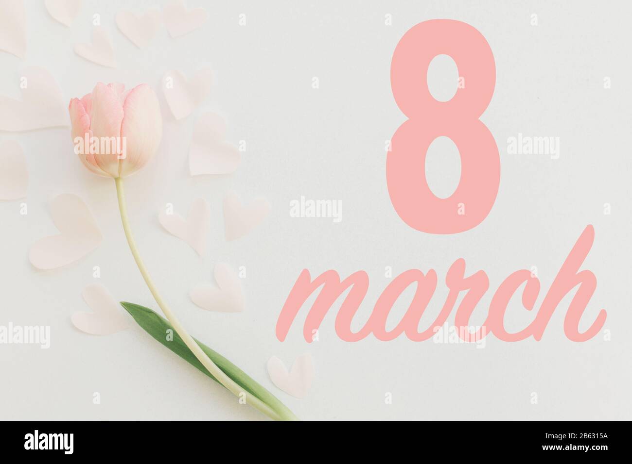 8 march. Happy womens day greeting card. 8 march text on pink tulip ...