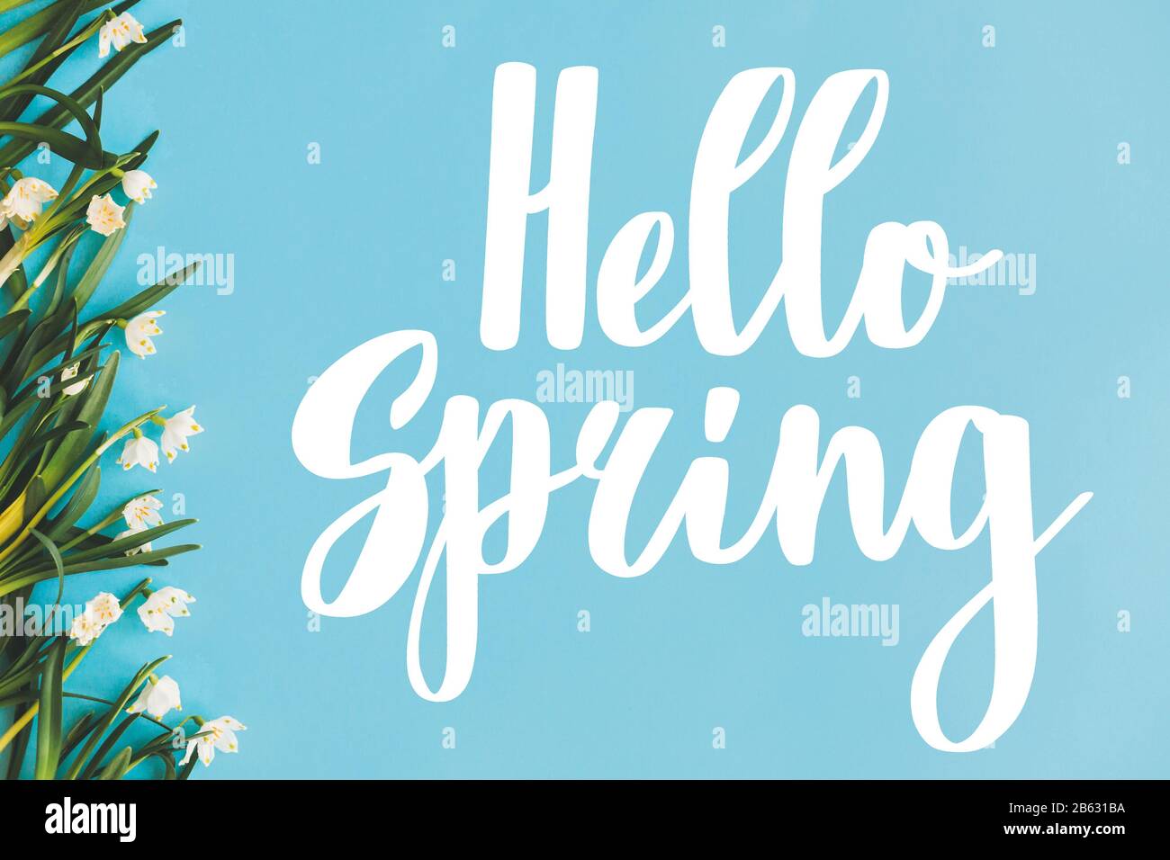 Hello Spring text with first spring flowers on blue background, flat ...