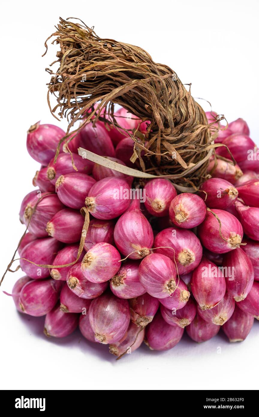 Bunch of high quality small red shallot sambar onions from India ...