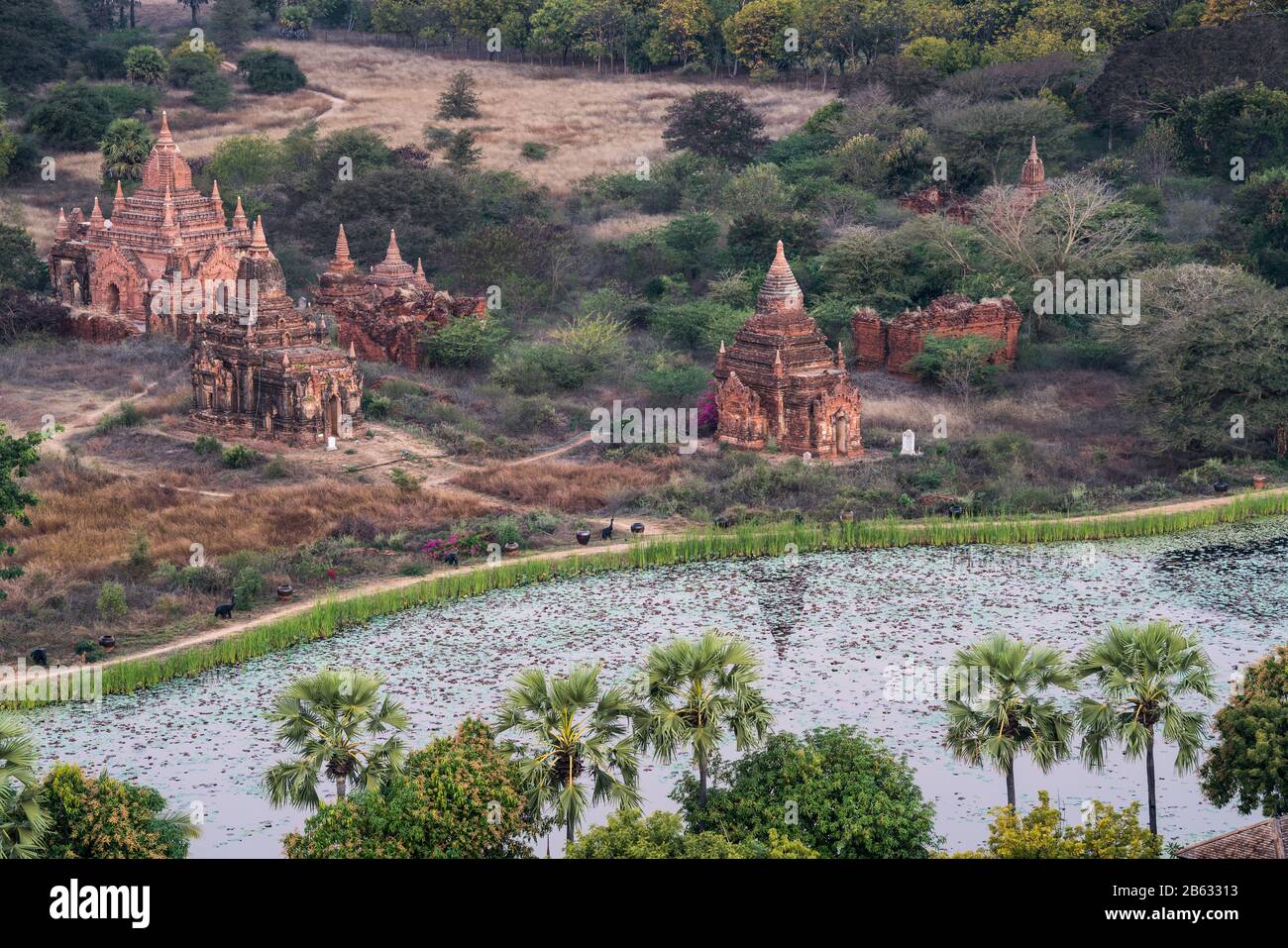 Bagan temples, Myanmar, Asia Stock Photo - Alamy