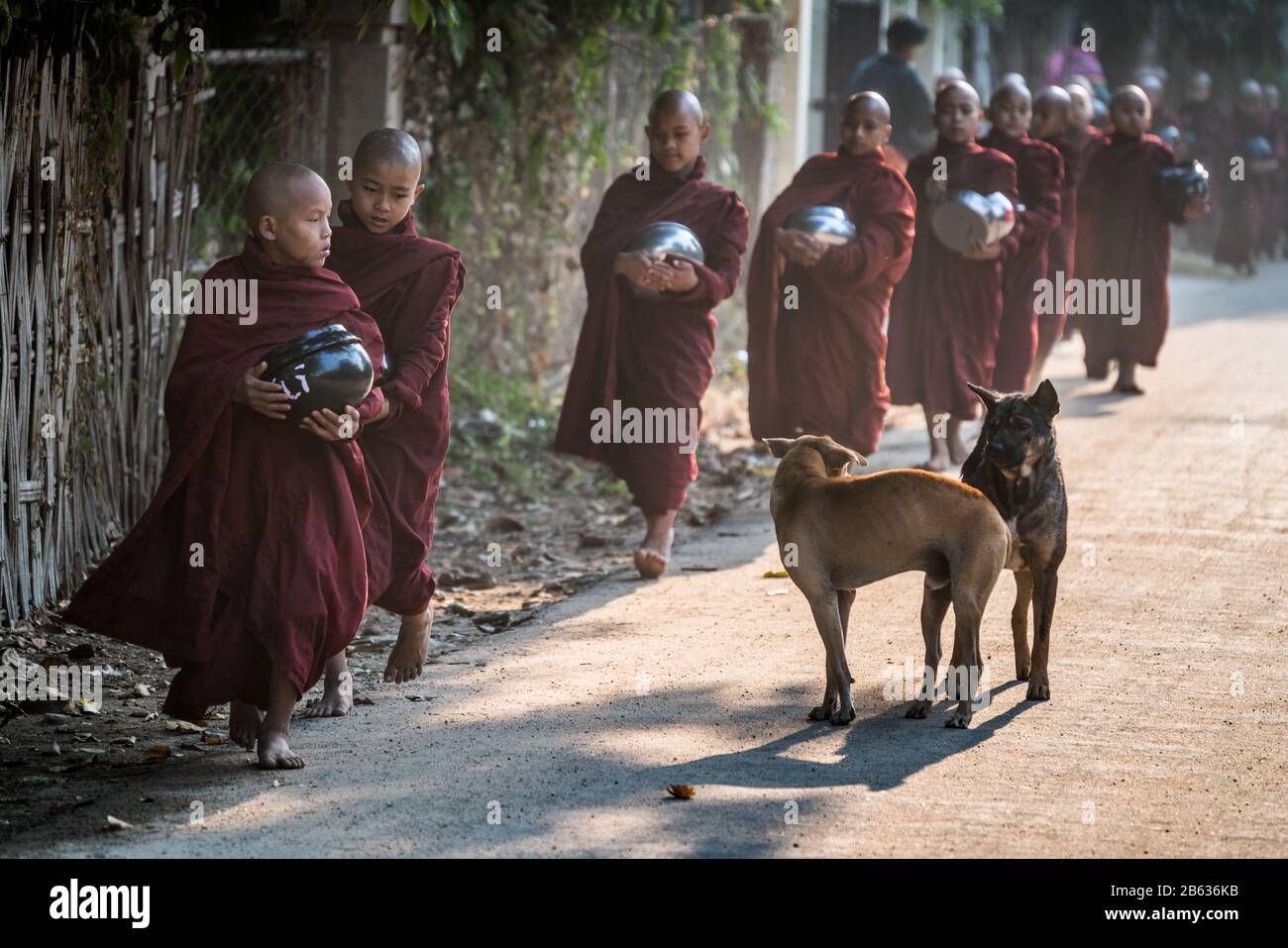 Monk ceremony in the Bagan, Myanmar, Asia Stock Photo - Alamy