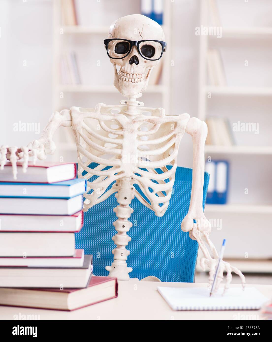 The student skeleton preparing for exams Stock Photo - Alamy