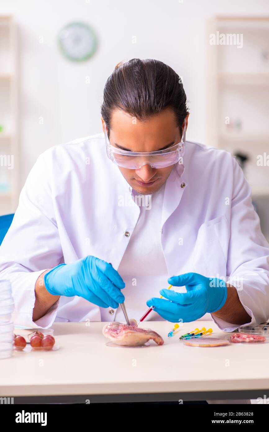 Young nutrition expert testing food products in lab Stock Photo - Alamy