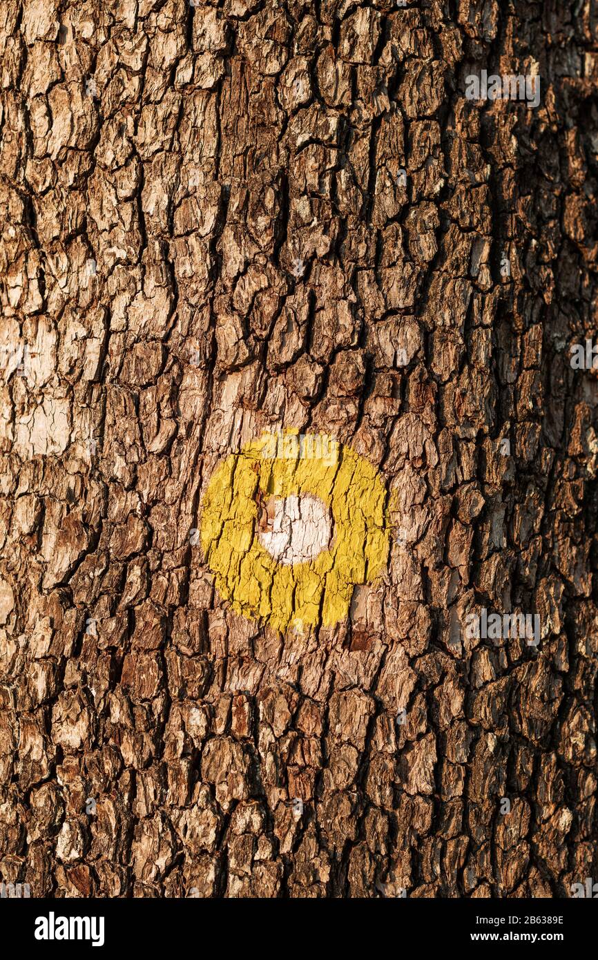 Marking dot hi-res stock photography and images - Alamy
