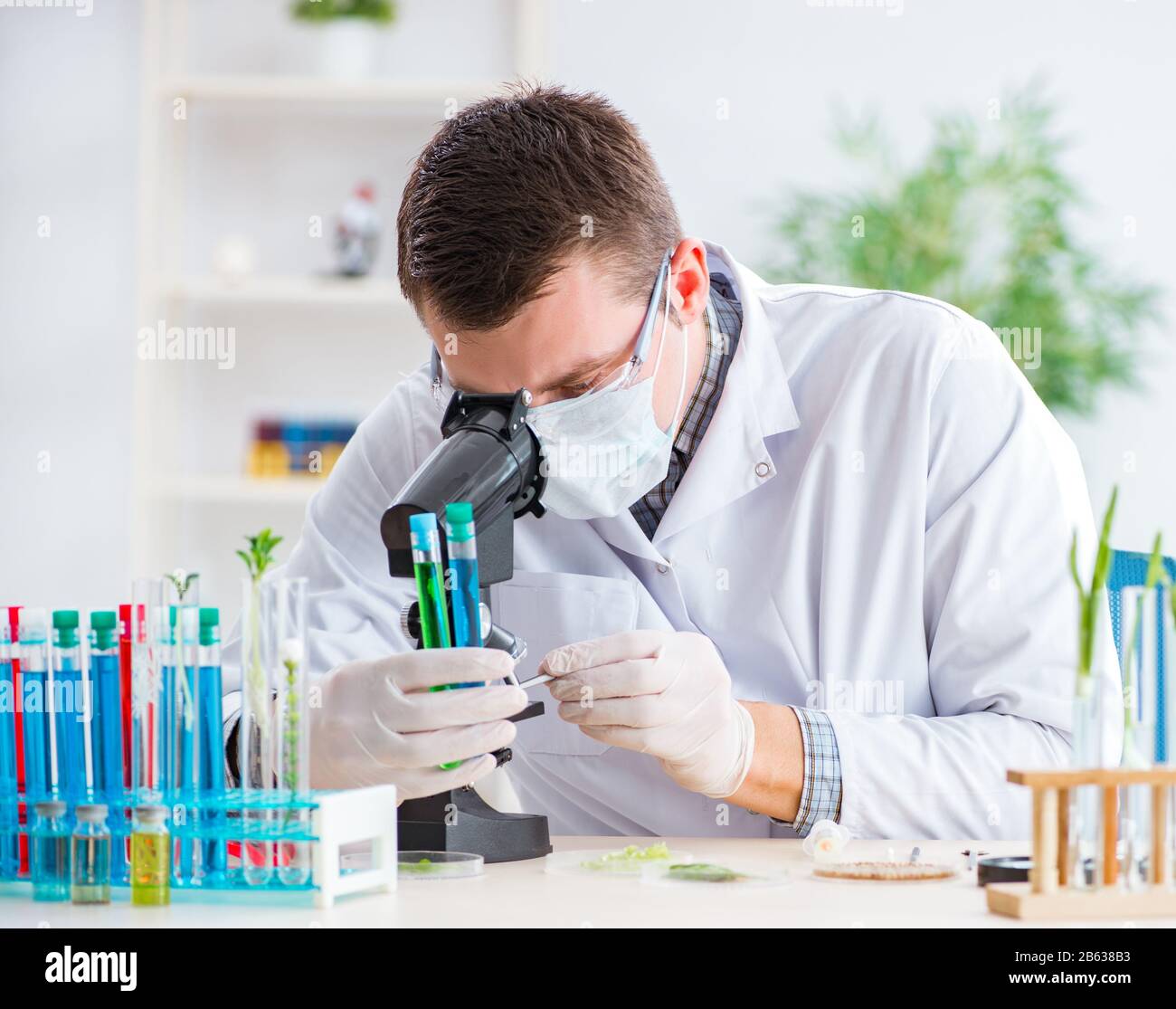 The male biochemist working in the lab on plants Stock Photo - Alamy