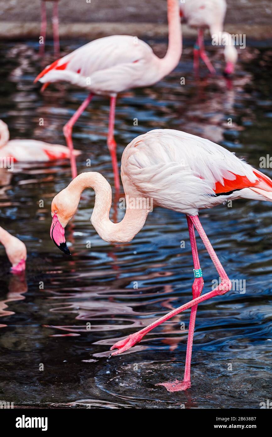 Vertical sideview hi-res stock photography and images - Alamy