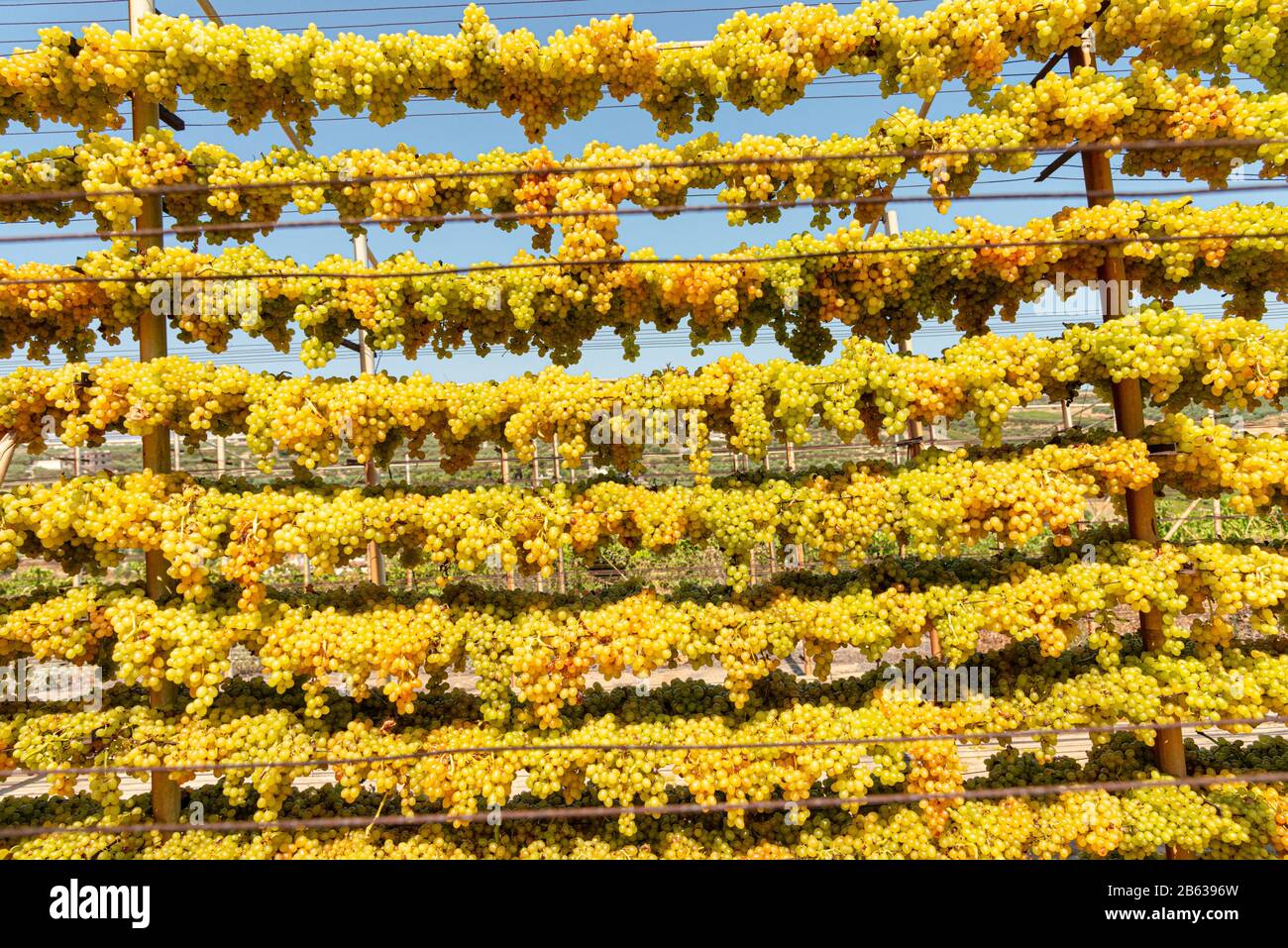 Caustic potash hi-res stock photography and images - Alamy